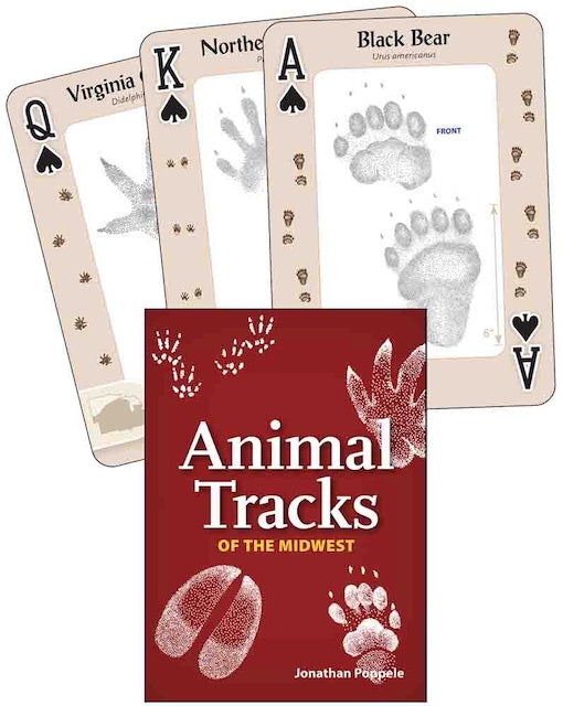 Nature Inspired Playing Cards - Animals – Mother Earth Gardens