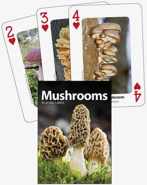 Nature Inspired Playing Cards - Plants & Fungi – Mother Earth Gardens