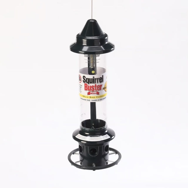 Bird Feeder - Squirrel Buster - Plus – Mother Earth Gardens