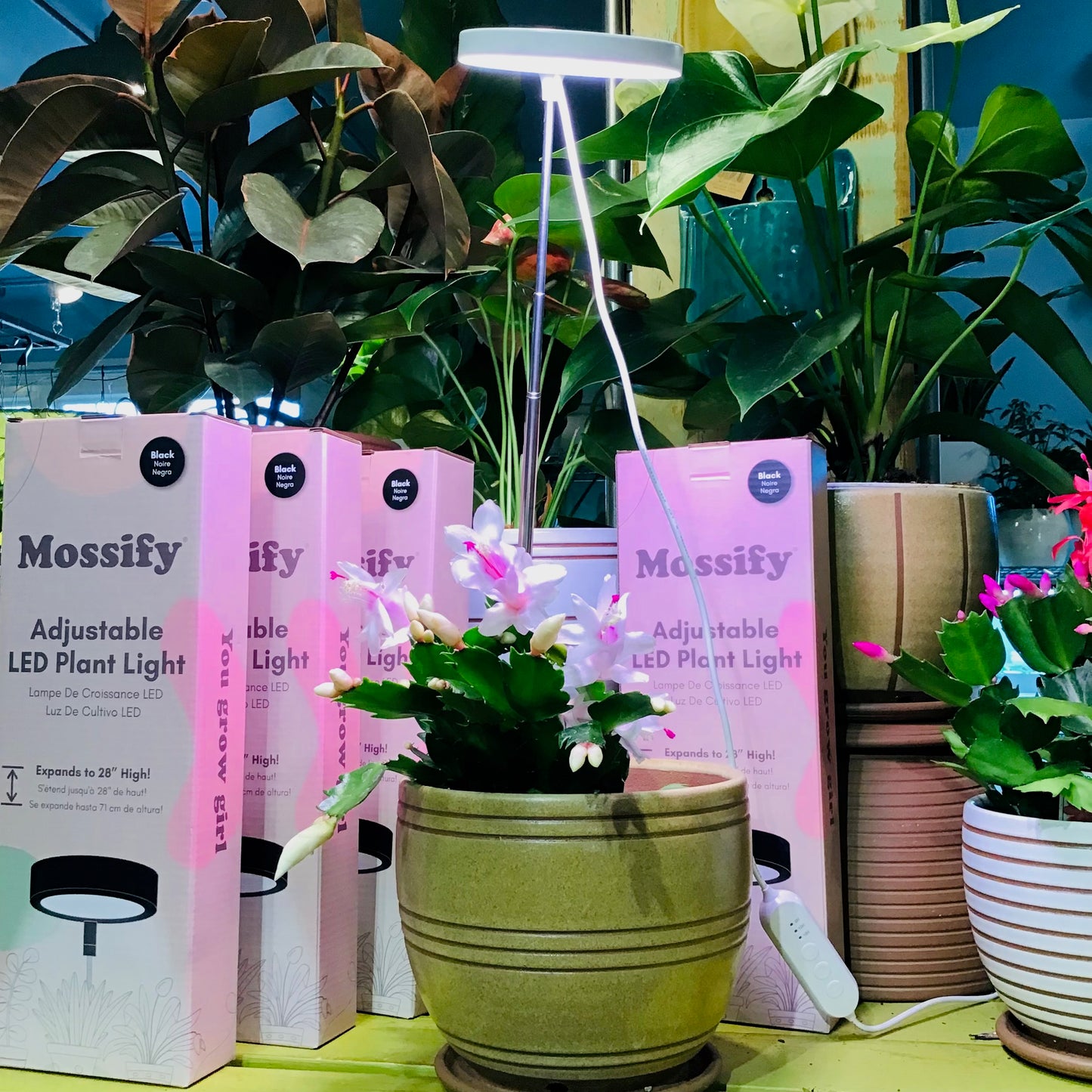 Adjustable LED Plant Light – Mother Earth Gardens