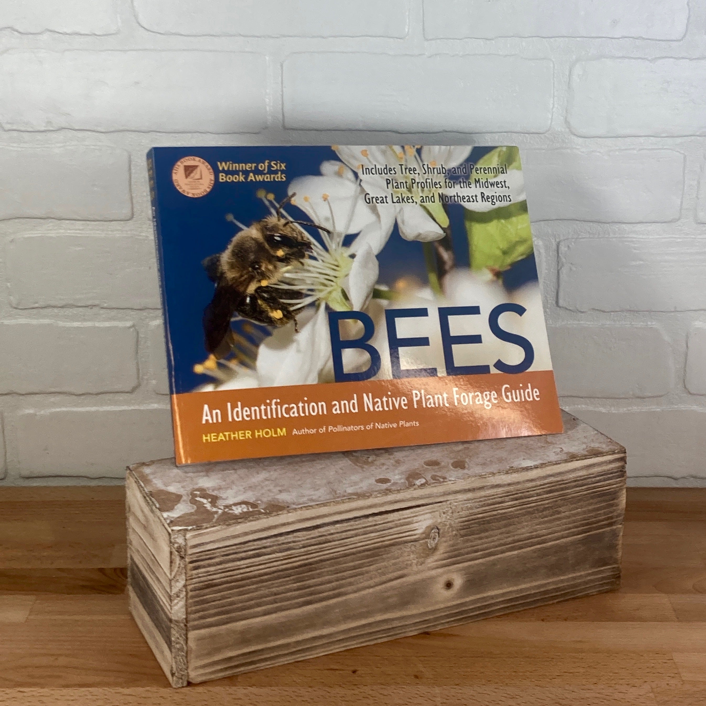 Bees: An Identification and Native Plant Forage Guide – Mother Earth ...