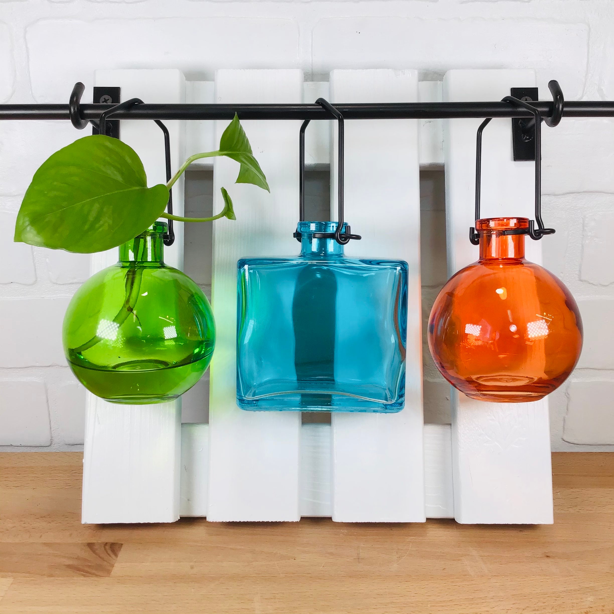 Hanging Glass Rooting Vases – Mother Earth Gardens