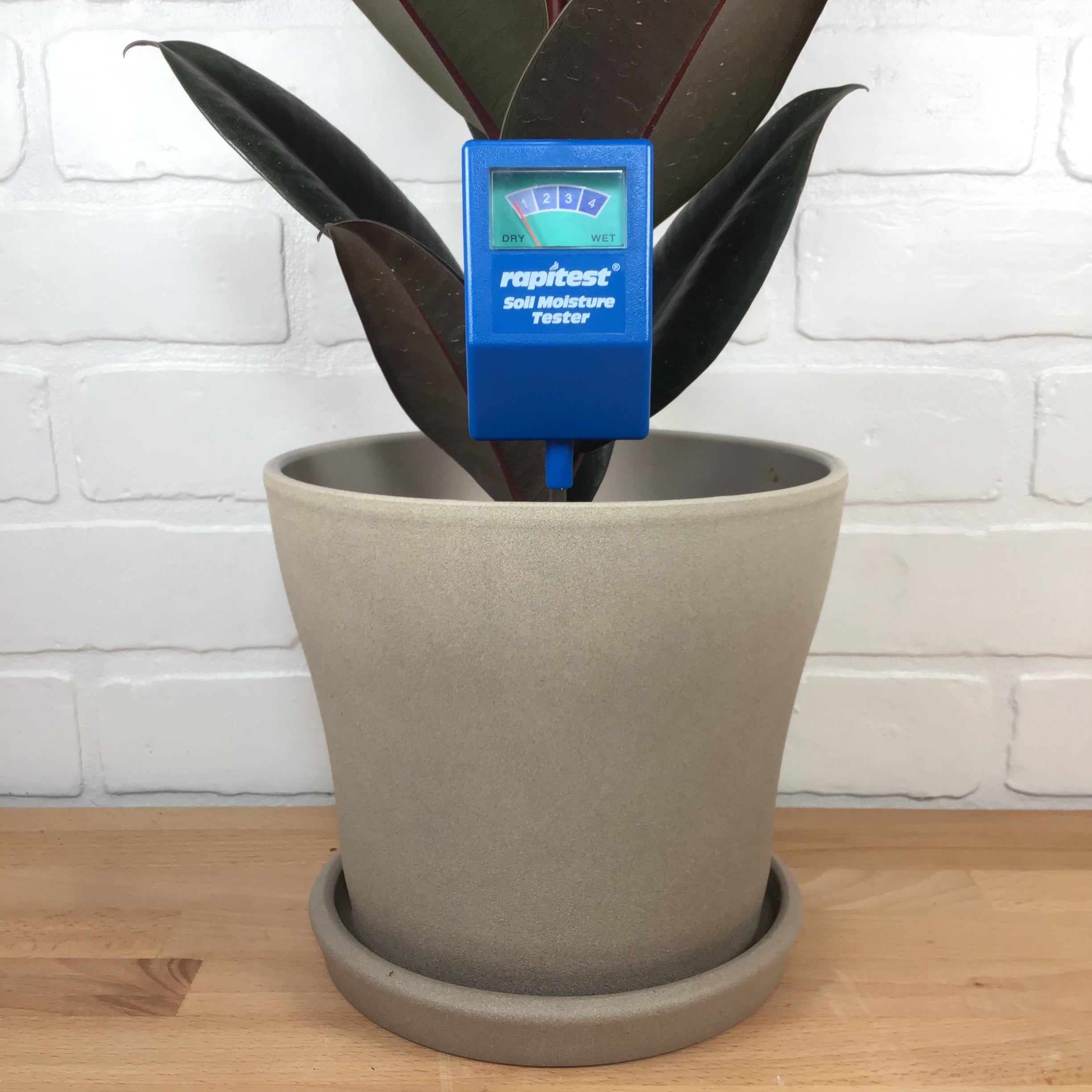 Rapitest Mini Moisture Meter Tester – Mother Earth Gardens